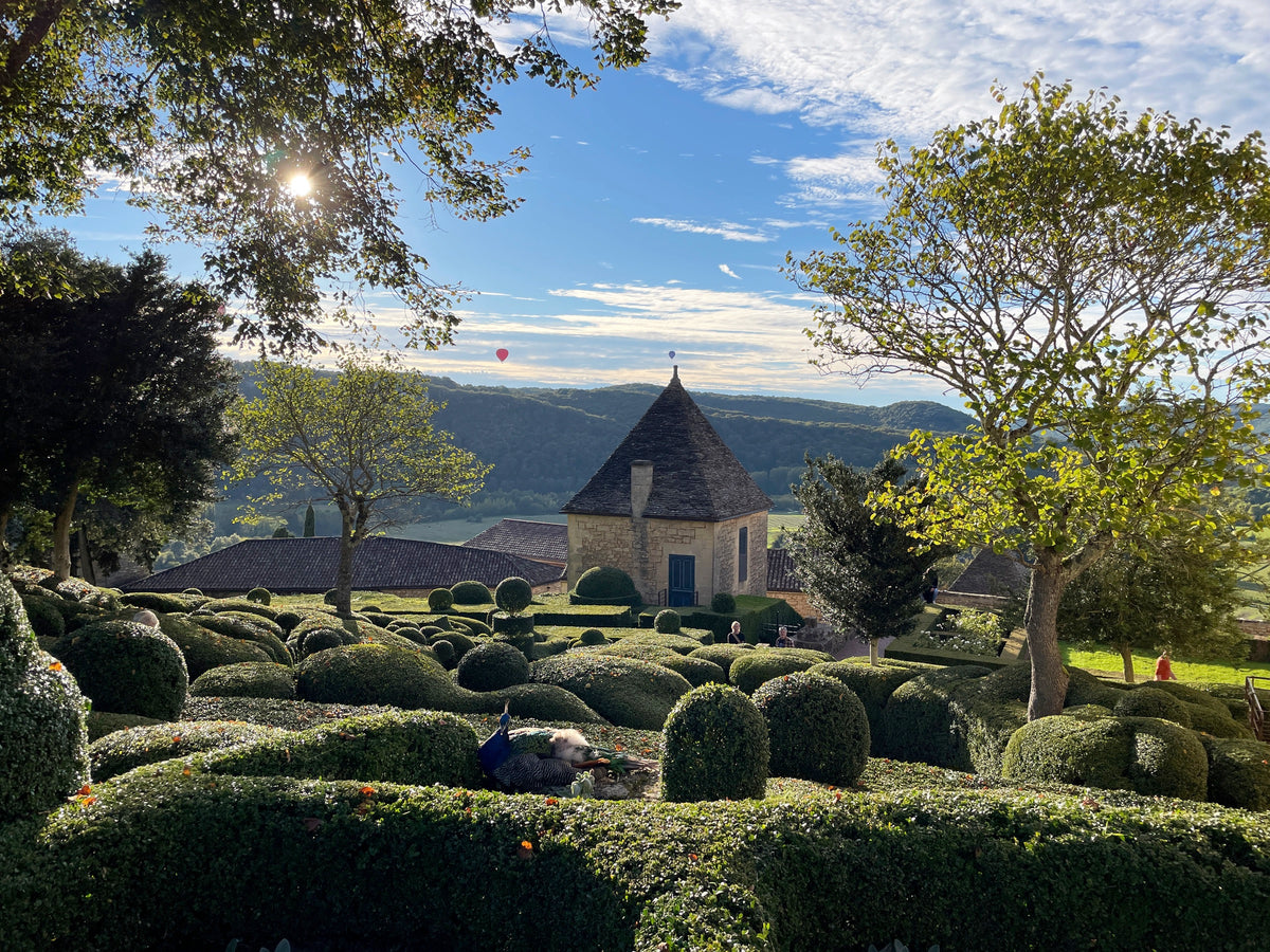 The repatriation question: Should I stay or should I go? – French or Faux